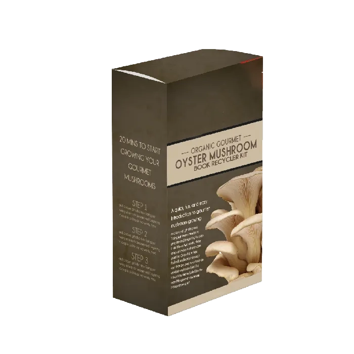 Mushroom Boxes – ASM